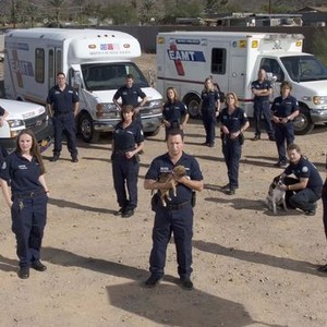 Animal Cops: Detroit: Season 20, Episode 10 - Rotten Tomatoes