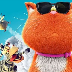 Spy Cat - Rotten Tomatoes