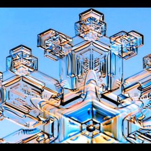 Secret of Water - Rotten Tomatoes