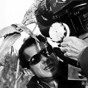 Arthur Penn - Rotten Tomatoes