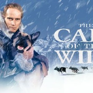 Call of the Wild - Rotten Tomatoes