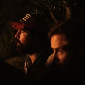 Resolution - Rotten Tomatoes