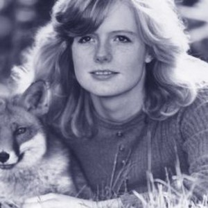 The Belstone Fox - Rotten Tomatoes