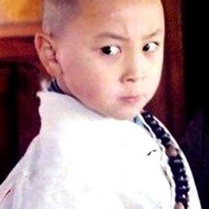 Dragon from Shaolin - Rotten Tomatoes