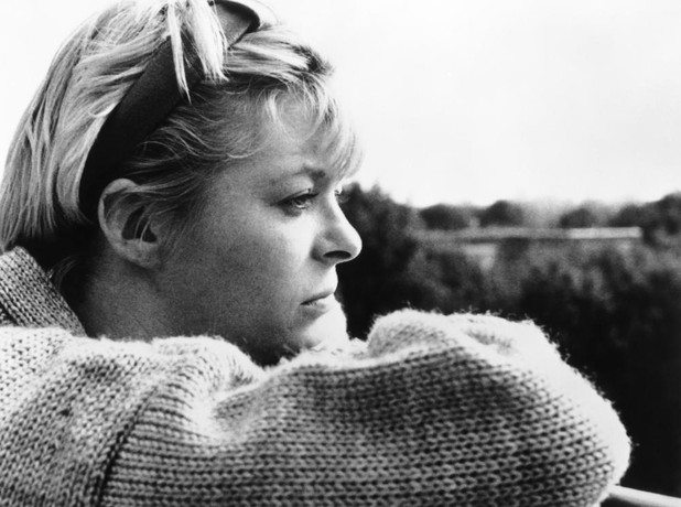 Sandra Delaney's Instagram, Twitter & Facebook on IDCrawl