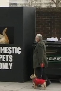 Trigger Happy TV: Season 1, Episode 6 | Rotten Tomatoes