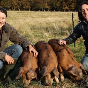 This Farming Life: Season 3, Episode 2 - Rotten Tomatoes