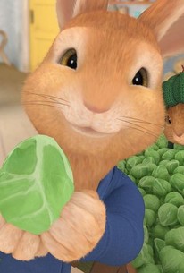 Peter Rabbit: Season 1, Episode 9 | Rotten Tomatoes