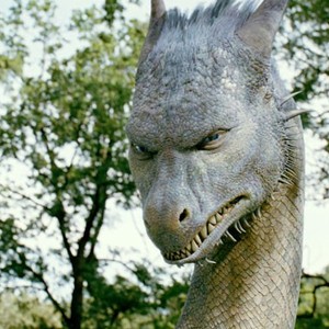 Eragon - Rotten Tomatoes