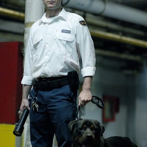 P2 - Rotten Tomatoes