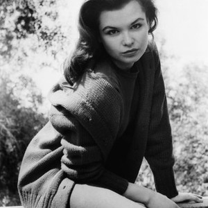 Susan Harrison - Rotten Tomatoes