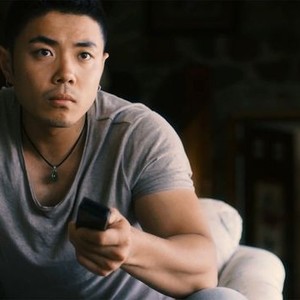 Reincarnation - Rotten Tomatoes