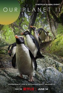Our Planet: Season 2 | Rotten Tomatoes