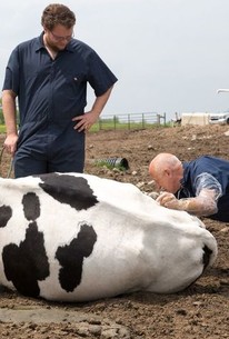 The Incredible Dr. Pol: Season 4, Episode 4 | Rotten Tomatoes