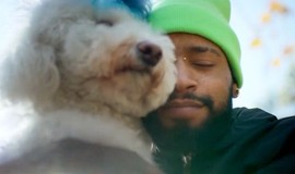 The Pack - Rotten Tomatoes