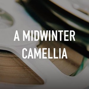 A Midwinter Camellia - Rotten Tomatoes