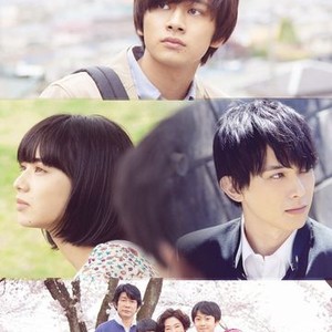 Sakura - Rotten Tomatoes