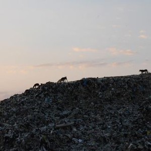 Trashed - Rotten Tomatoes