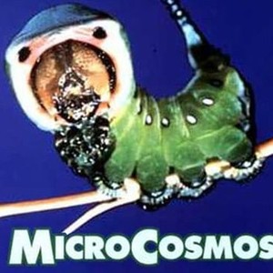 Microcosmos - Rotten Tomatoes