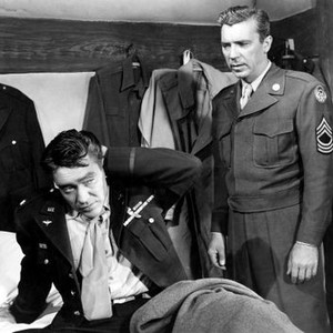 Tom D'Andrea - Rotten Tomatoes