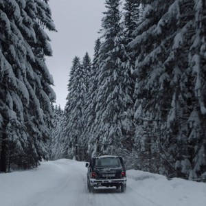 Goran - Rotten Tomatoes