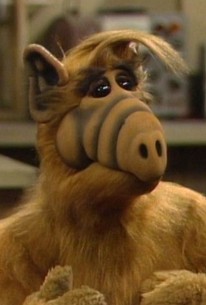 ALF: Season 3, Episode 14 - Rotten Tomatoes