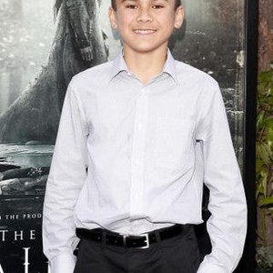 Aiden Lewandowski - Rotten Tomatoes