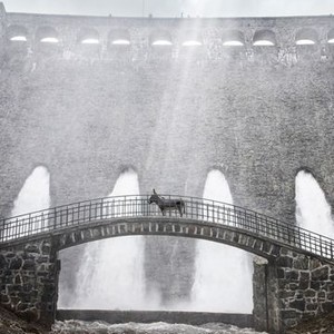 EO - Rotten Tomatoes