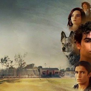 Runt - Rotten Tomatoes