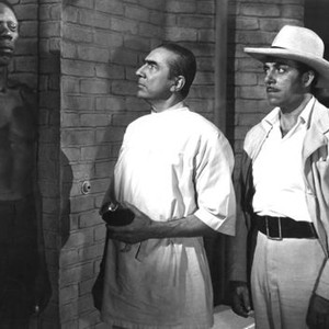 Joseph Vitale - Rotten Tomatoes