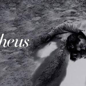 Orpheus - Rotten Tomatoes