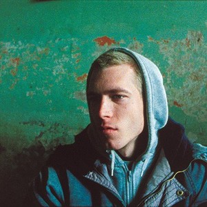 Import/Export - Rotten Tomatoes