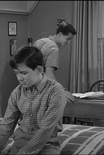 Leave It to Beaver - Season 5 Episode 16 - Rotten Tomatoes