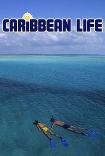 Caribbean Life: Season 7 | Rotten Tomatoes