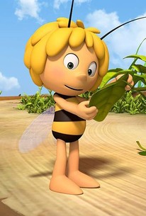 Maya the Bee: Season 2, Episode 31 | Rotten Tomatoes