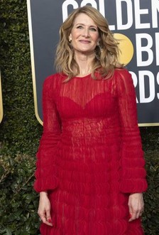 Laura Dern In Dexter