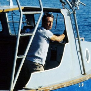 Jaws 2 - Rotten Tomatoes