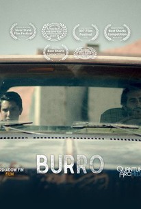 Burro | Rotten Tomatoes