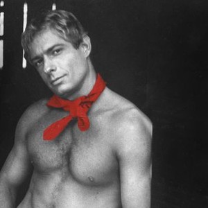 Wrangler: Anatomy of an Icon - Rotten Tomatoes