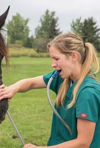 The Incredible Dr. Pol: Season 15, Episode 3 | Rotten Tomatoes