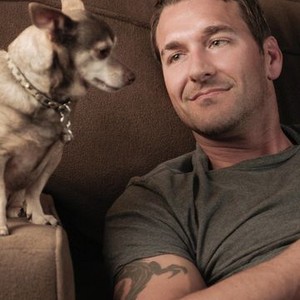Lucky Dog - Rotten Tomatoes