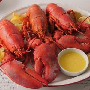 Martha Cooks: Season 2, Episode 2 - Rotten Tomatoes