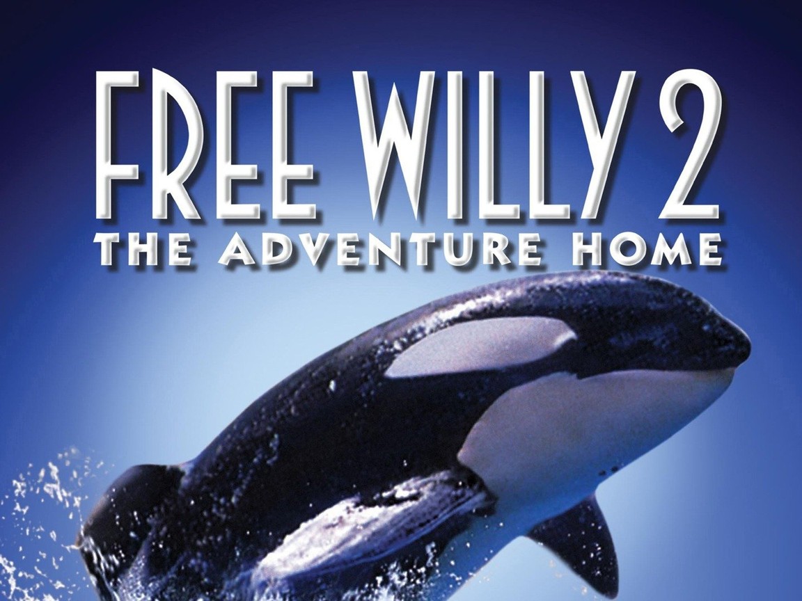 Free Willy 2 The Adventure Home