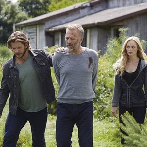 Bitten - Rotten Tomatoes