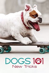 Dogs 101: New Tricks: Season 1 | Rotten Tomatoes