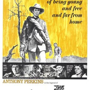 The Fool Killer - Rotten Tomatoes