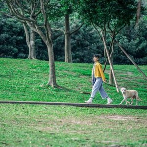 Little Q - Rotten Tomatoes