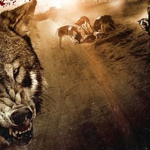Wolf Town - Rotten Tomatoes