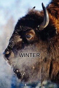 Winter: Season 1, Episode 2 - Rotten Tomatoes