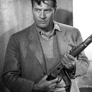 Accomplice - Rotten Tomatoes